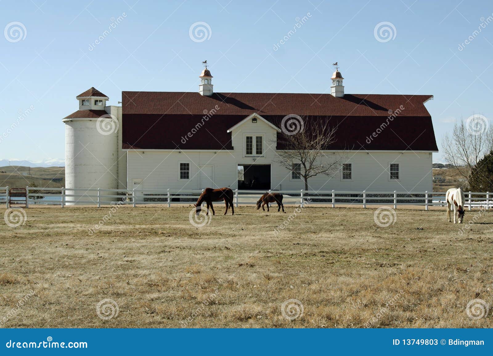 Peaceful Farm Scene stock image. Image of historic, horses - 13749803