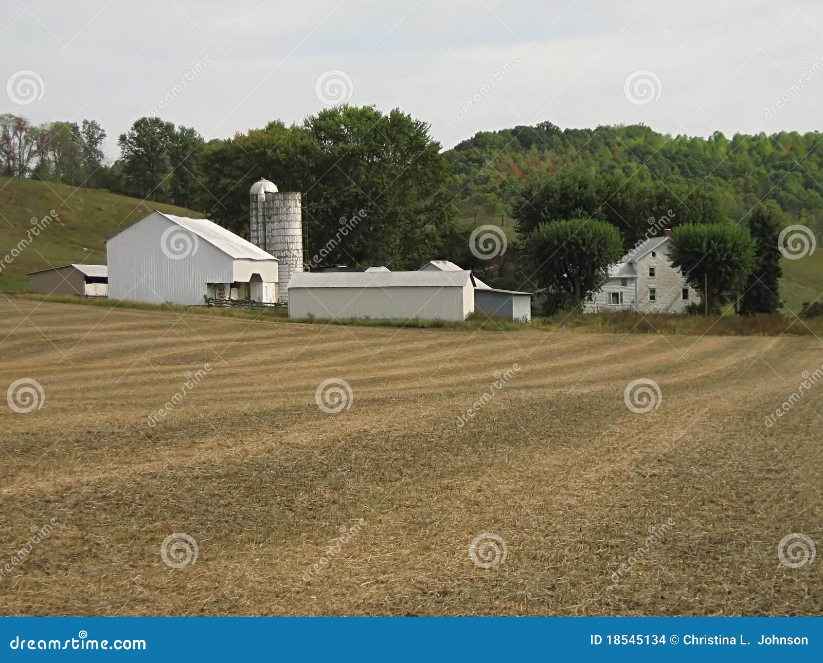 Peaceful Farmland stock photo. Image of farmland, cultivate - 18545134