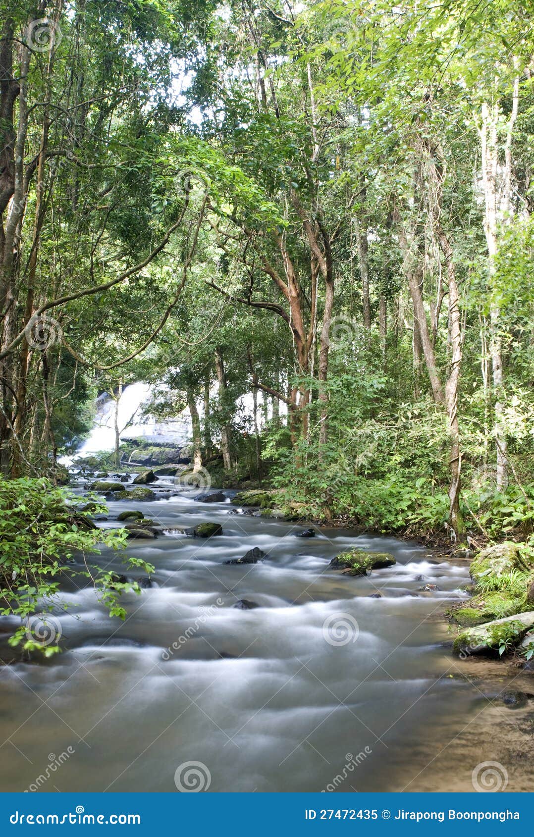 Peaceful Flowing Steam in Forest, Thailand Stock Image - Image of ...
