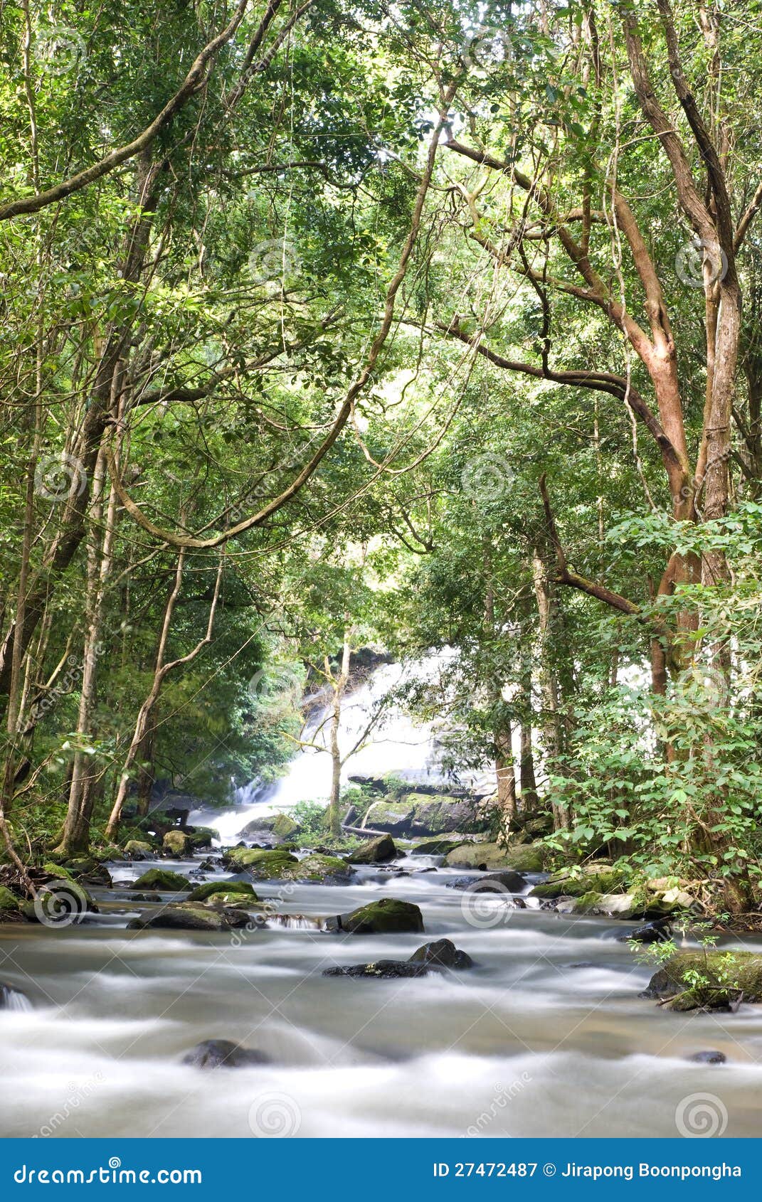 Peaceful Flowing Steam in Forest, Thailand Stock Image - Image of ...
