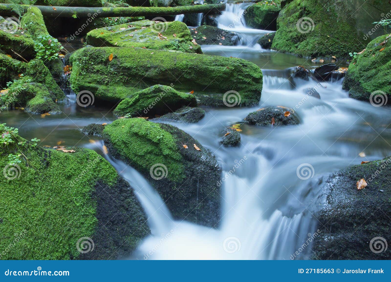 Peaceful Flowing Stream in the Forest Stock Image - Image of blurred ...