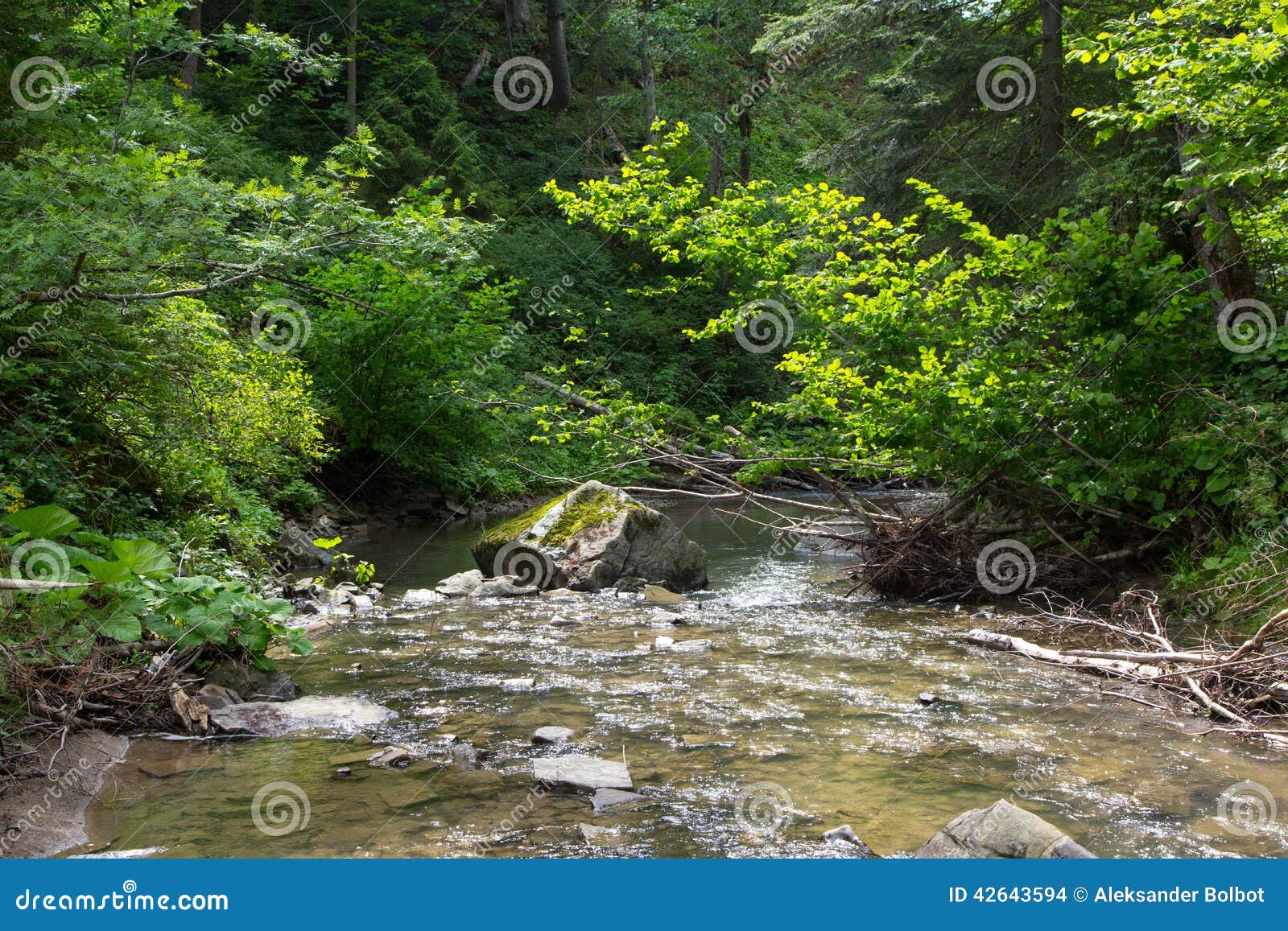 Peaceful Forest Stream Flow Down among Stones Stock Photo - Image of ...