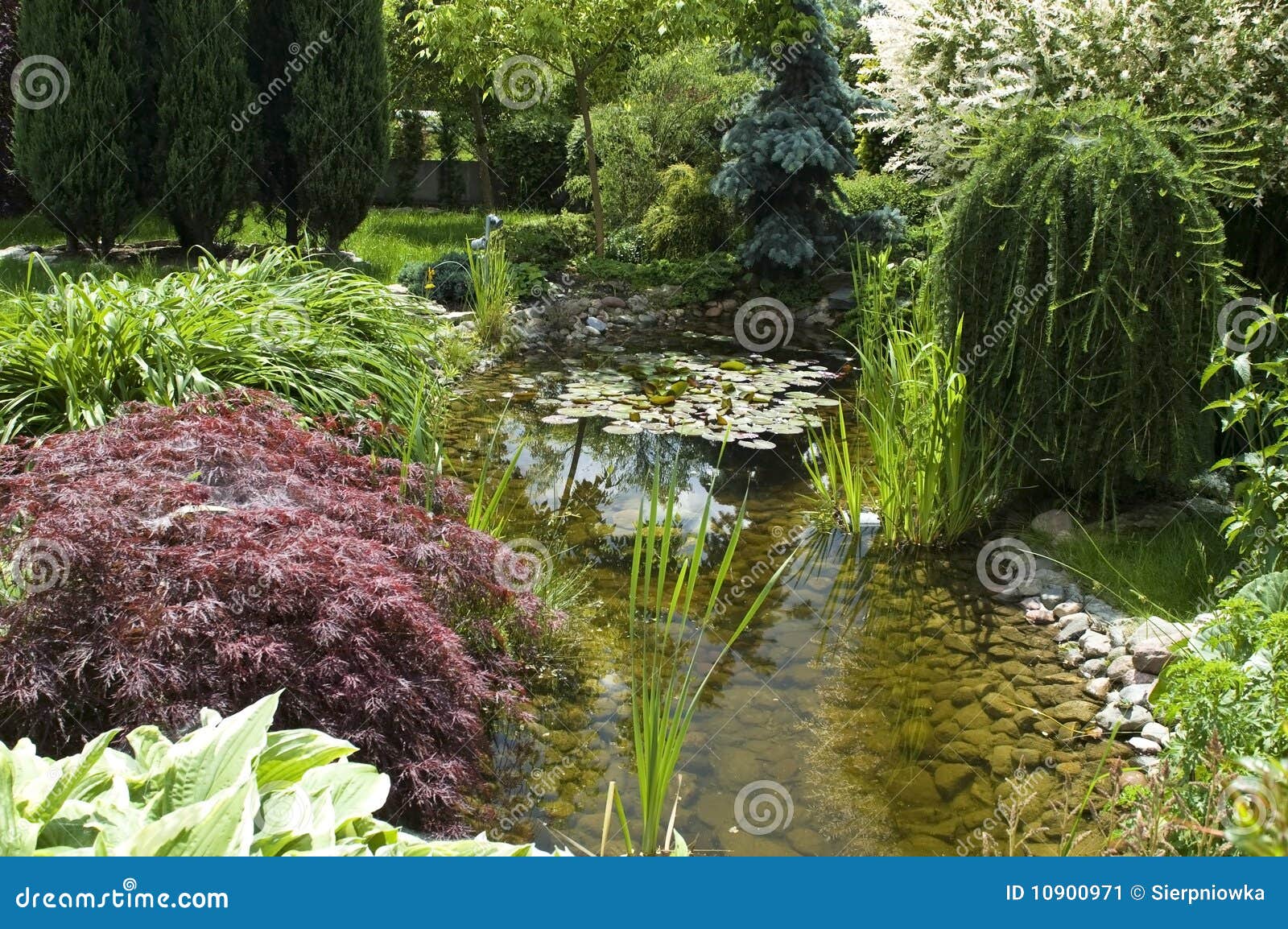 Peaceful garden stock image. Image of grand, yard, lawn - 10900971