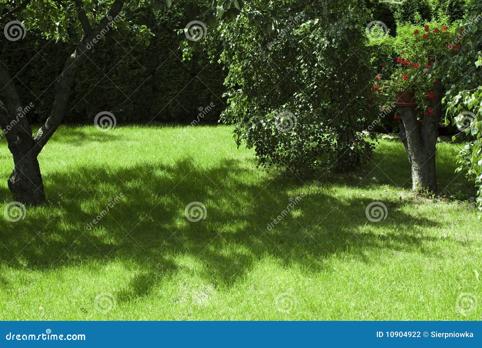 Peaceful garden stock photo. Image of property, realestate - 10904922