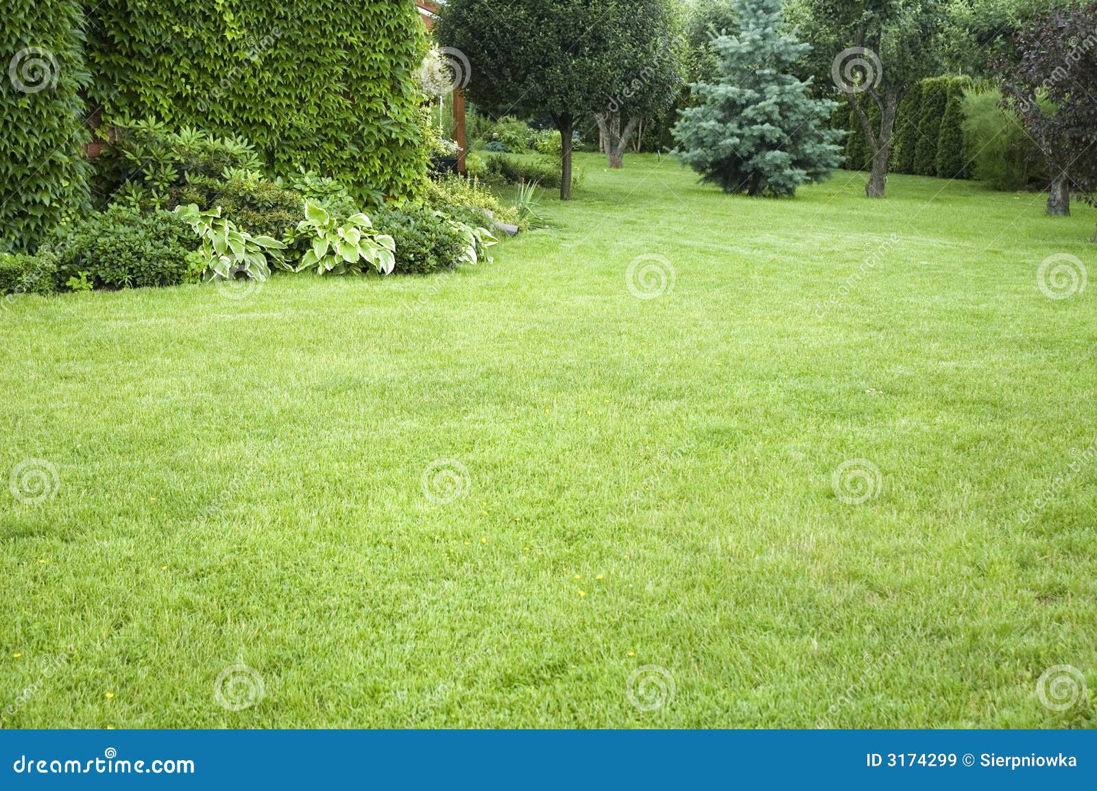 Peaceful garden stock image. Image of real, suburban, property - 3174299