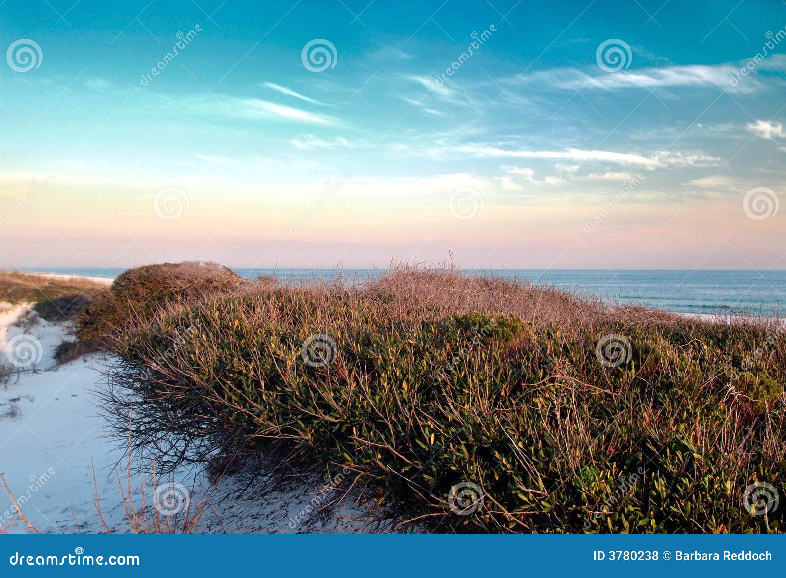 Peaceful Getaway - Dunes at the Beach Stock Photo - Image of getaway ...