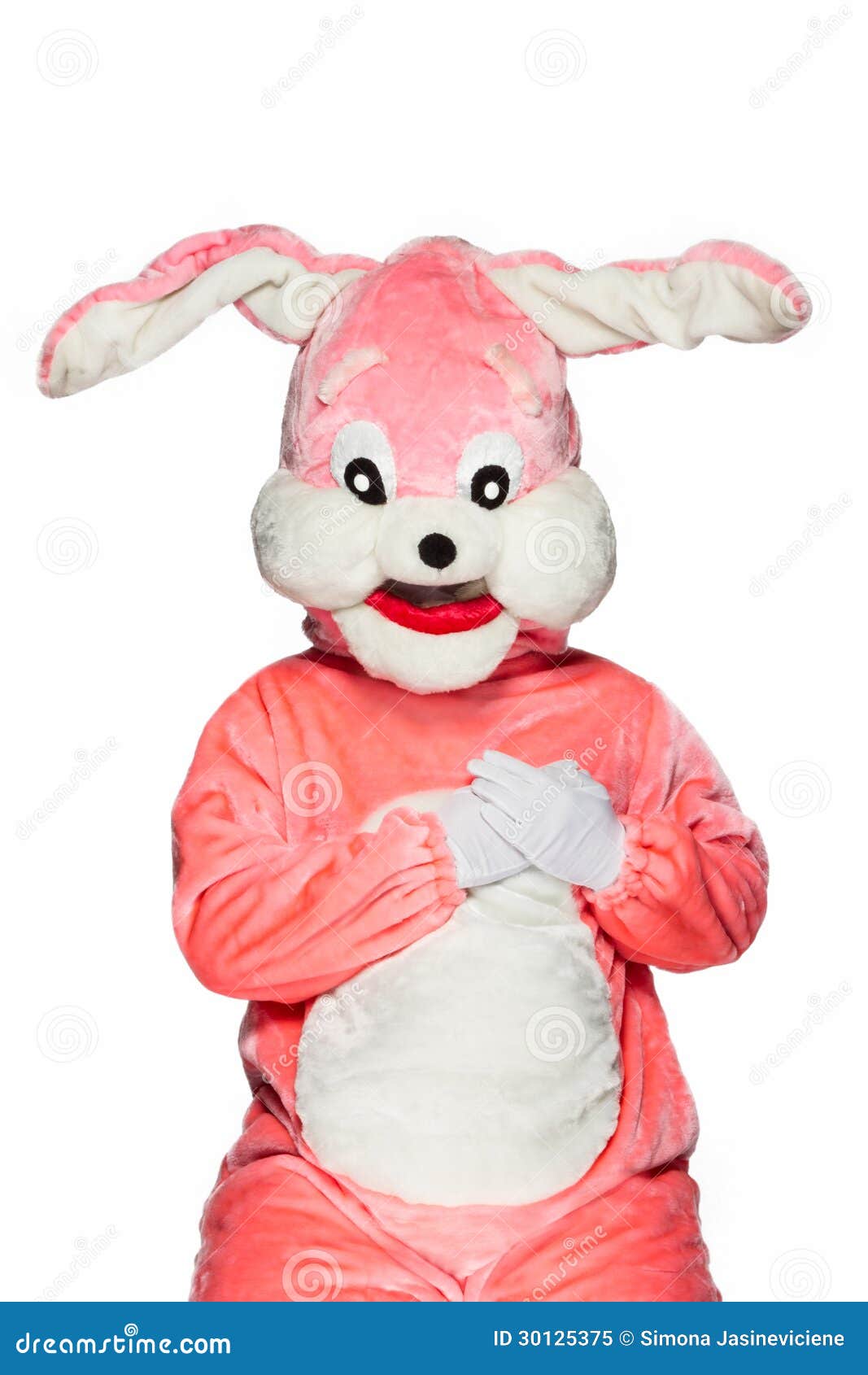 Pink Rabbit Suit Isolated on White Background Stock Image - Image of ...