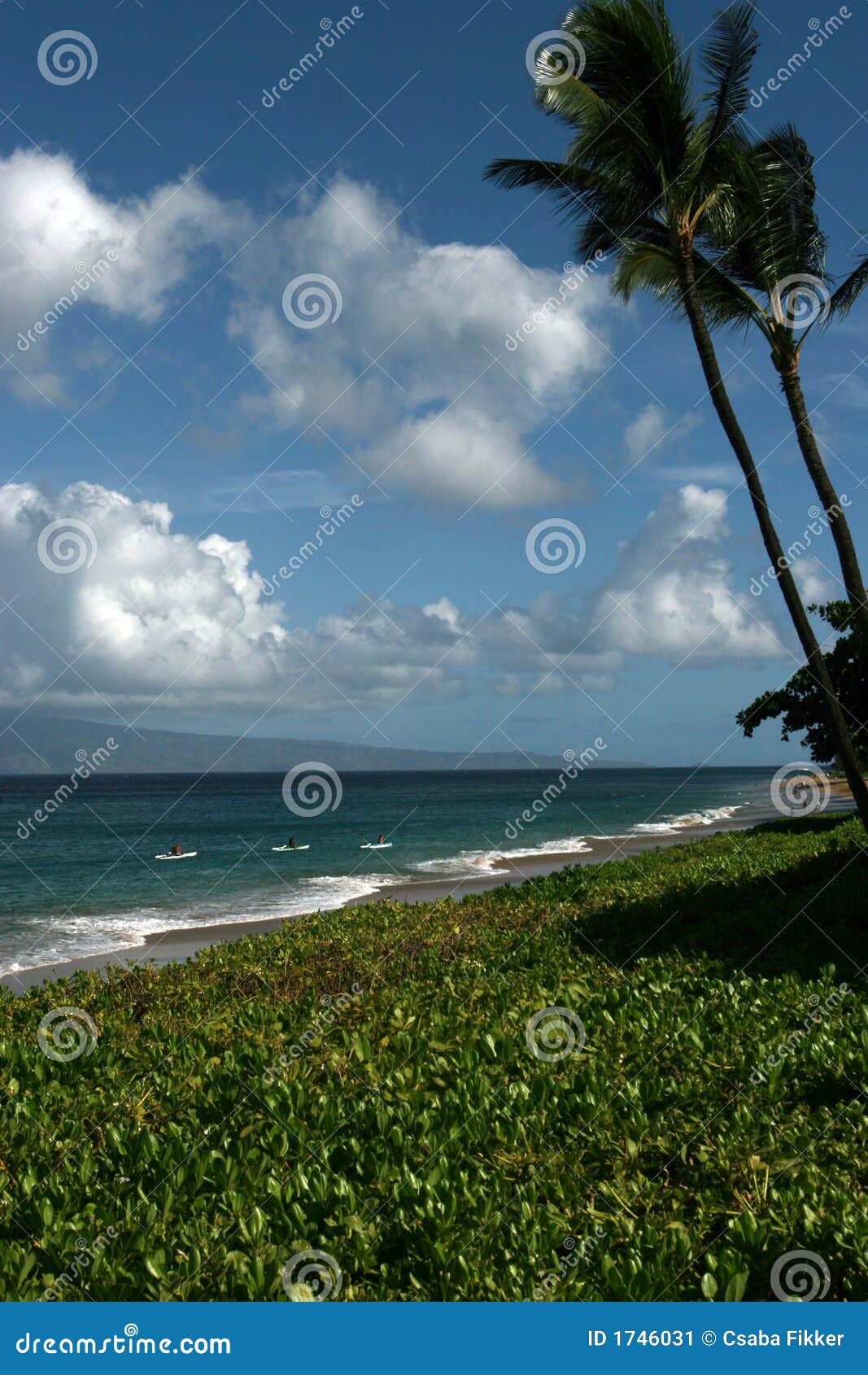 Peaceful Hawaii Beach Scene Stock Image - Image of hawaii, clean: 1746031