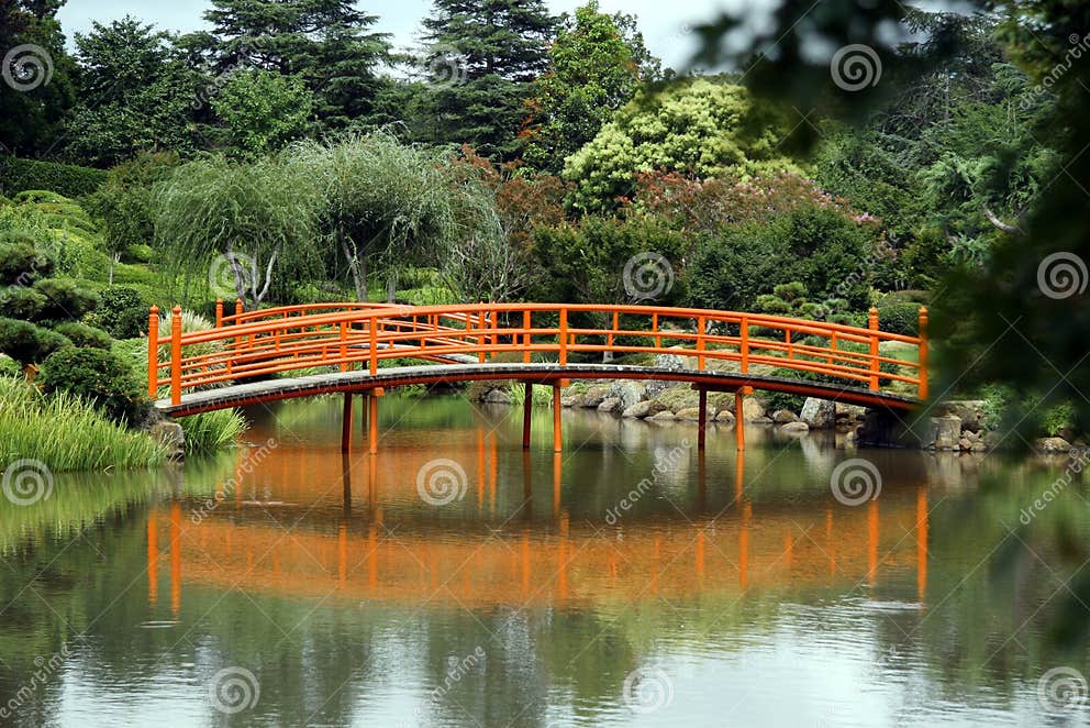 Peaceful Japanese Style Bridge with Reflections Stock Image - Image of ...