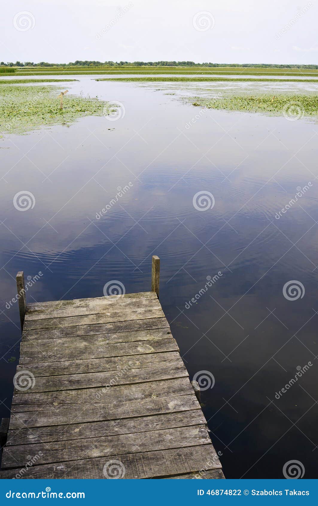 Peaceful jetty at lakeside stock photo. Image of horizon - 46874822