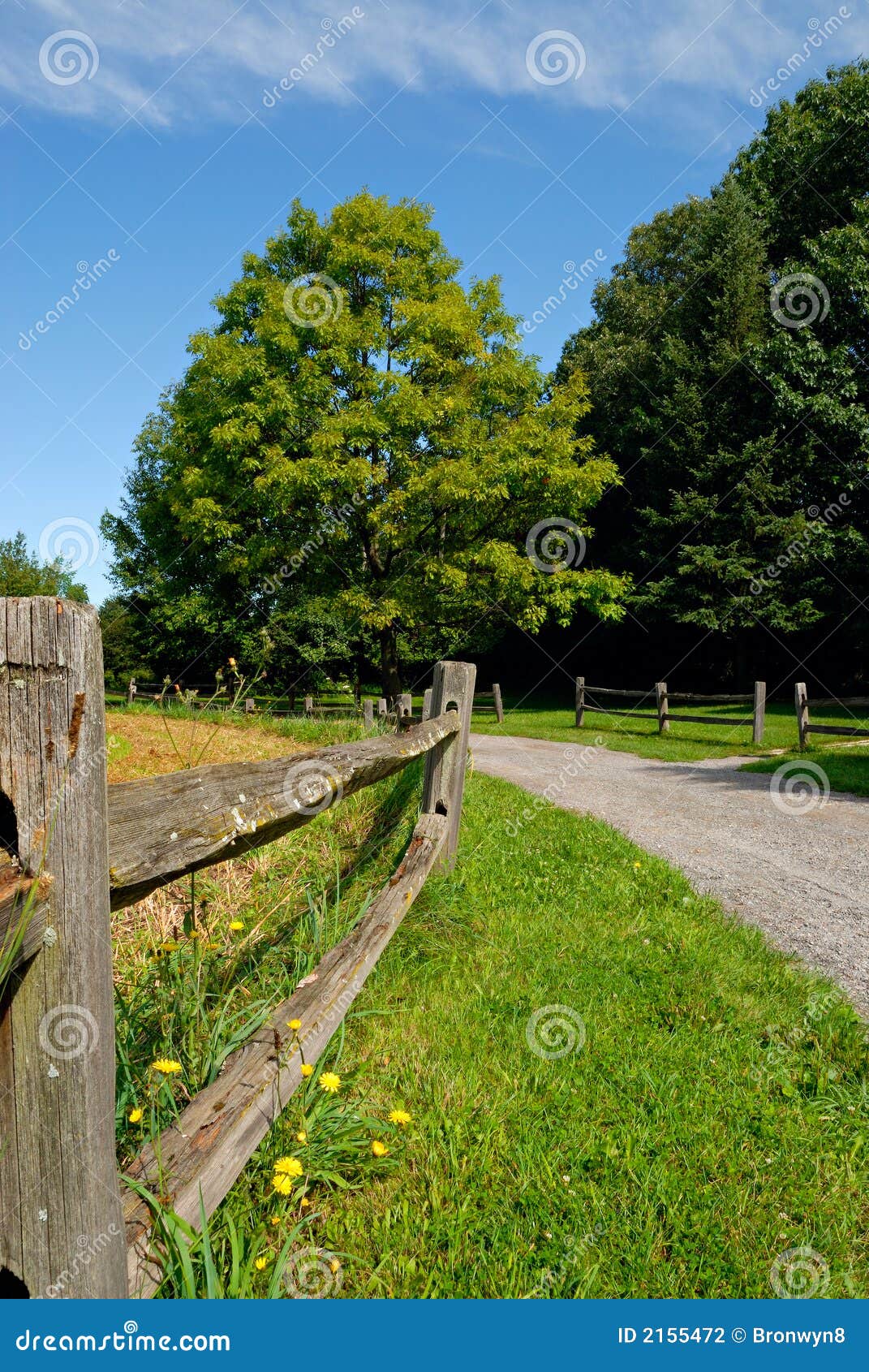 Peaceful Journey stock photo. Image of countryside, nature - 2155472
