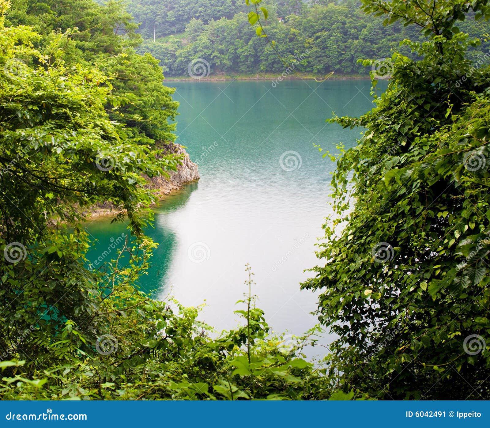 Peaceful lake in Tokyo stock image. Image of color, lake - 6042491