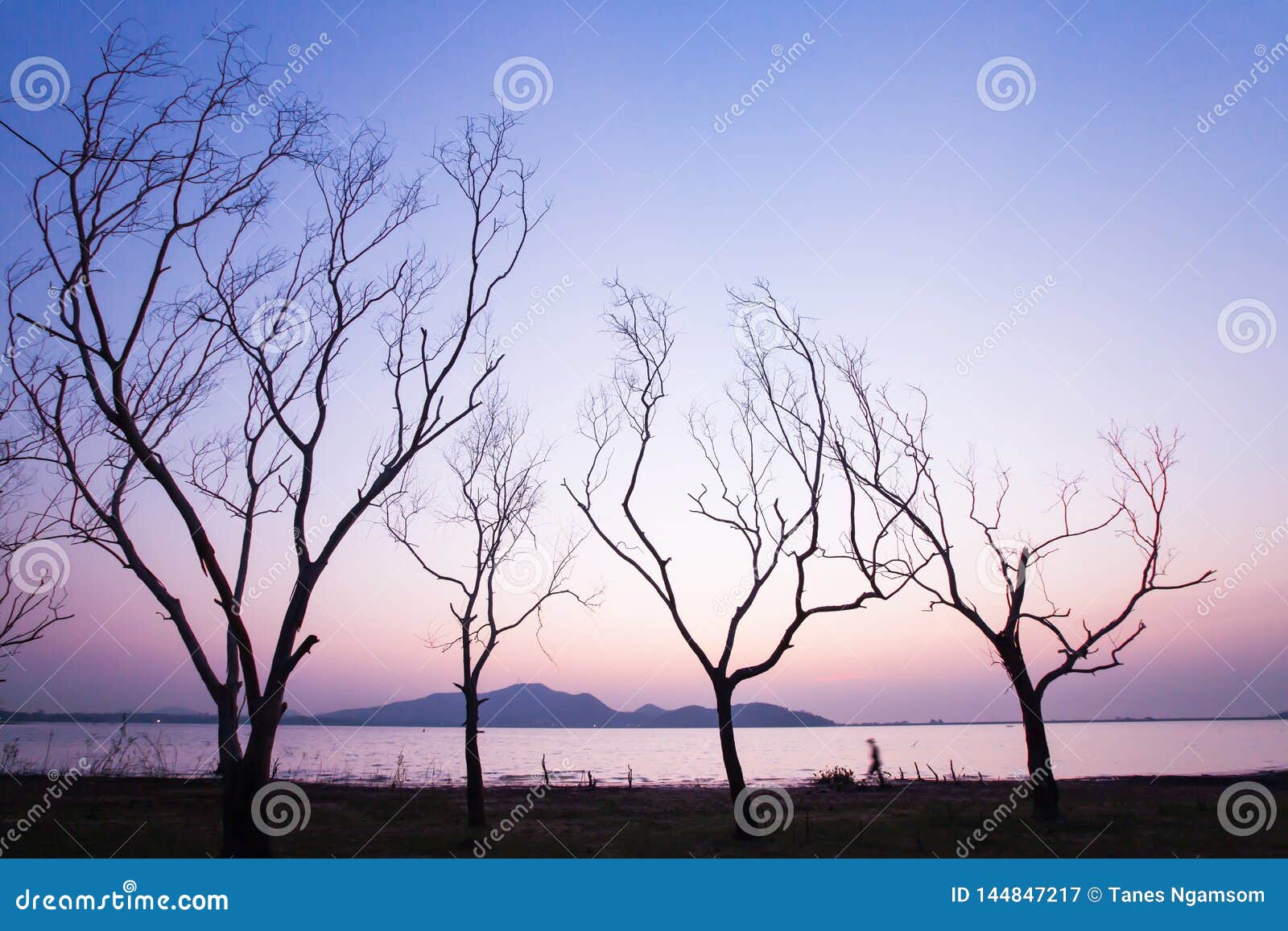 A Peaceful Lakeside at Sunset, Unidentified Male Walking in the Lined ...