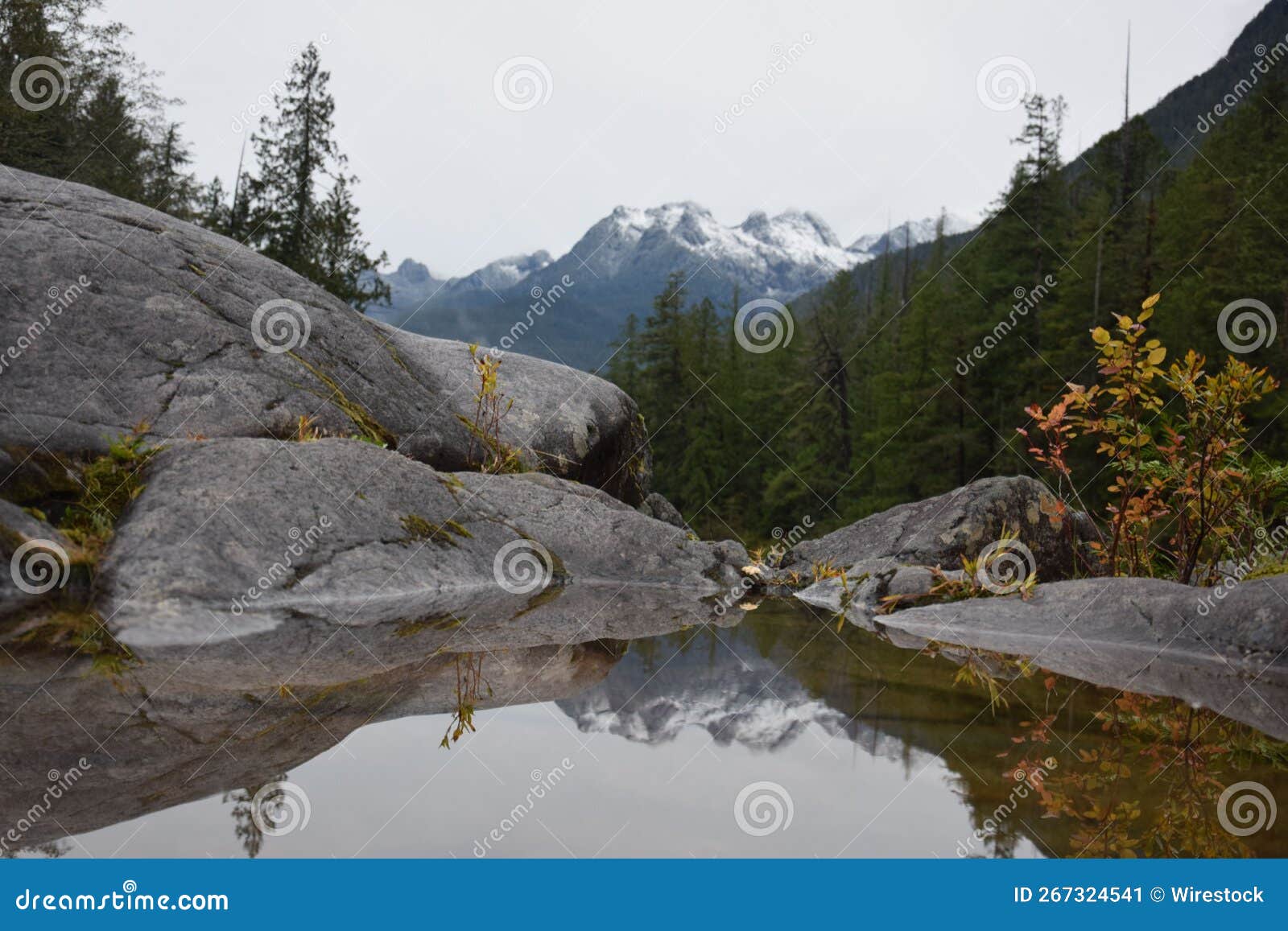 Peaceful Lakeside Surrounded by Rocks and Trees Reflecting in the Water ...