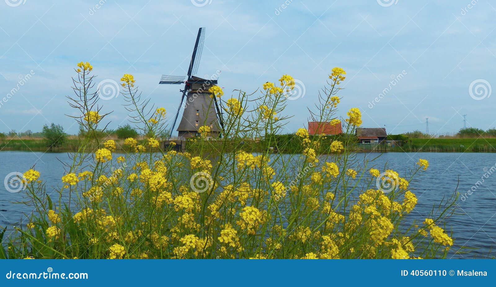 Peaceful Landscape stock photo. Image of attraction, mill - 40560110