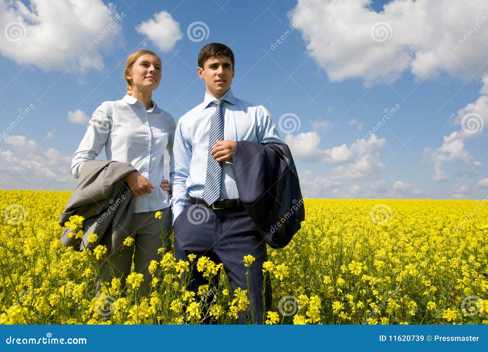 Peaceful life stock image. Image of freedom, associate - 11620739