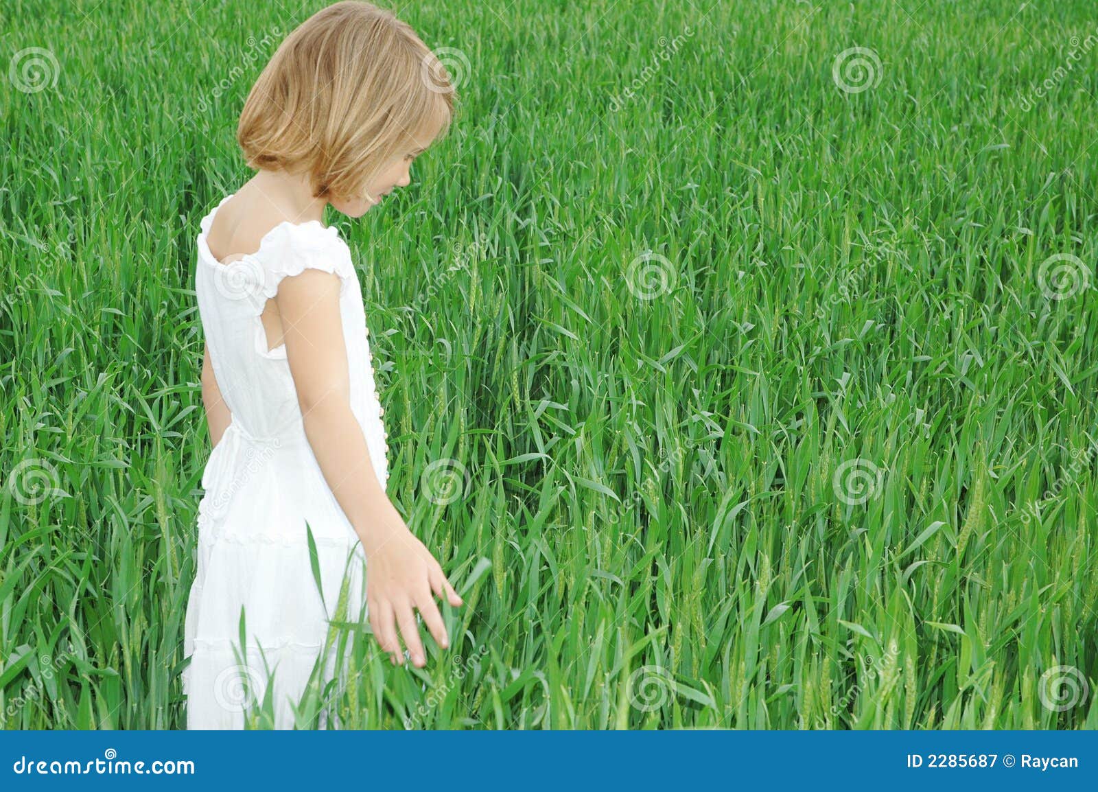 Peaceful Life stock image. Image of innocence, country - 2285687