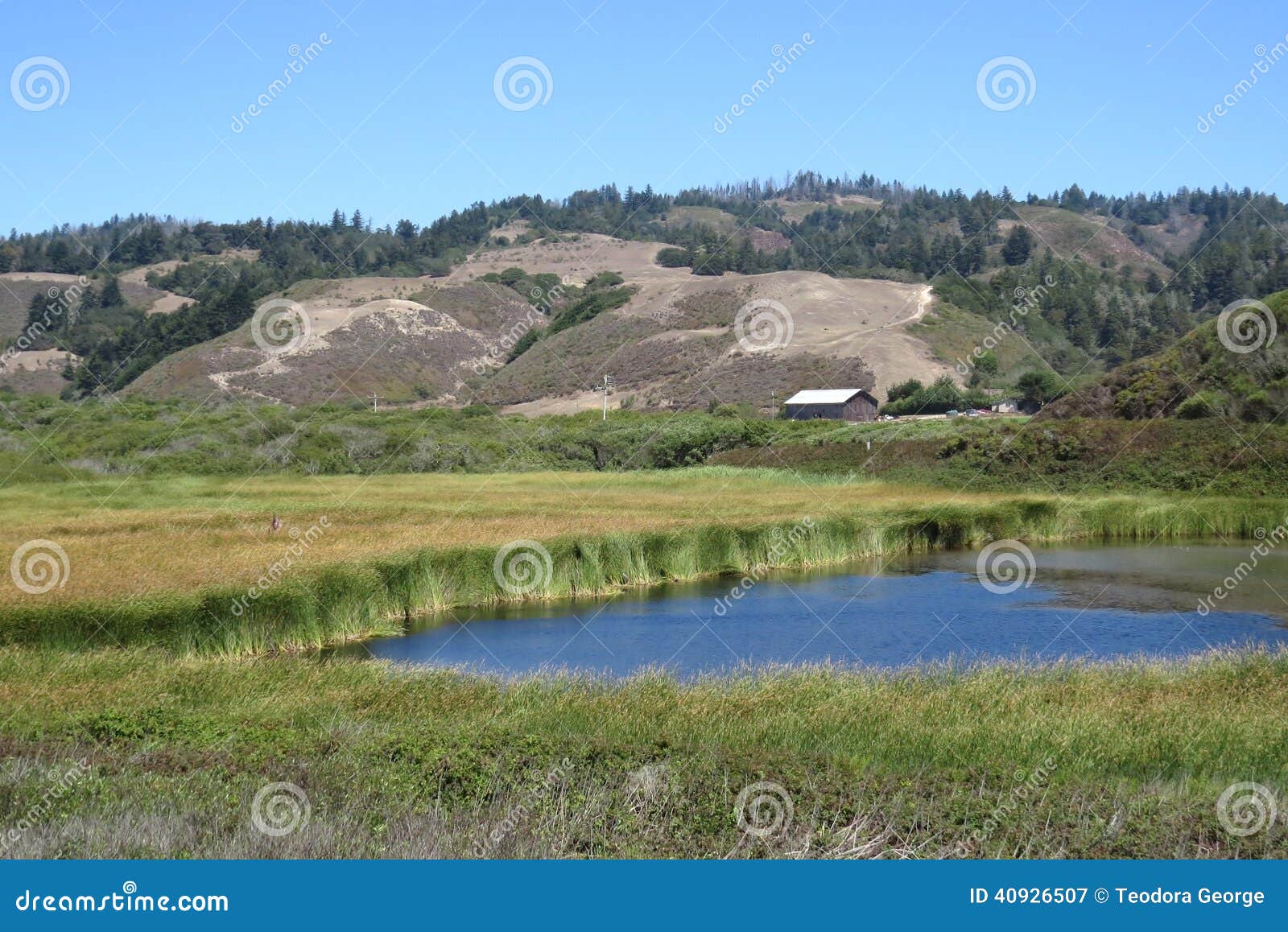 Peaceful meadow stock image. Image of visit, peaceful - 40926507