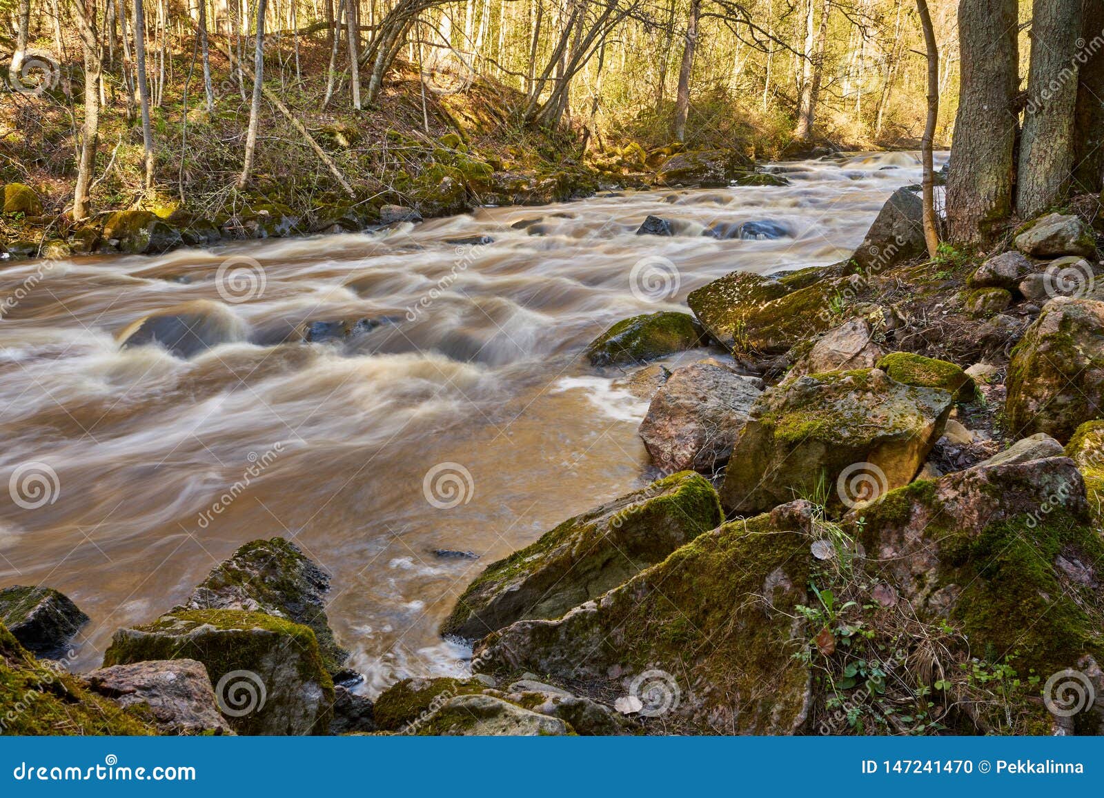 Peaceful Moody River Scene on Forest in Spring Time Stock Photo - Image ...