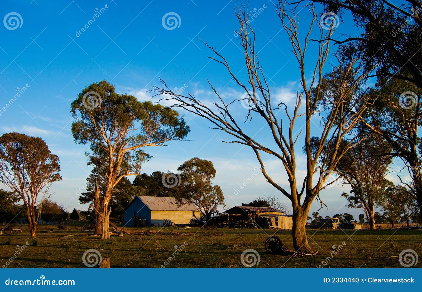 Peaceful Morning on the Farm Stock Photo - Image of outback, farm: 2334440