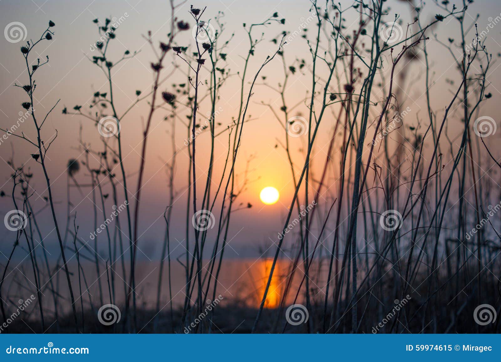 Peaceful Morning Wallpapers