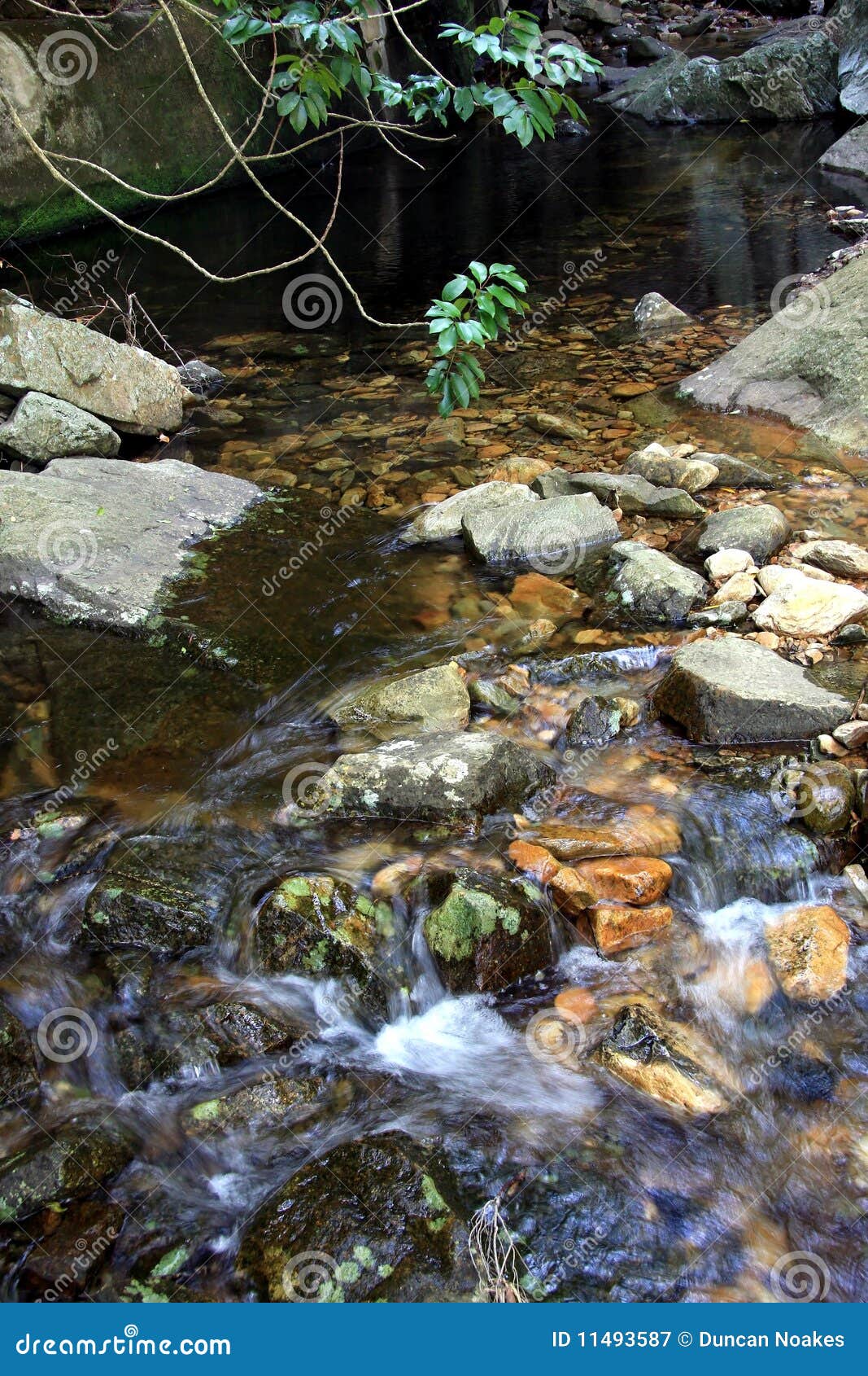 Peaceful Mountain Stream stock image. Image of creek - 11493587