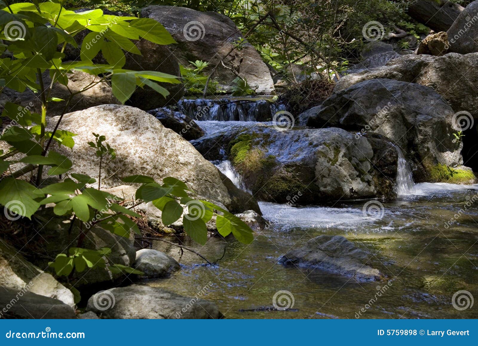 Peaceful mountain stream stock photo. Image of rock, cascading - 5759898