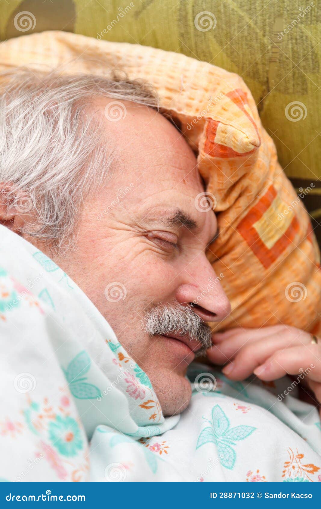 Peaceful Nap stock photo. Image of caucasian, living - 28871032