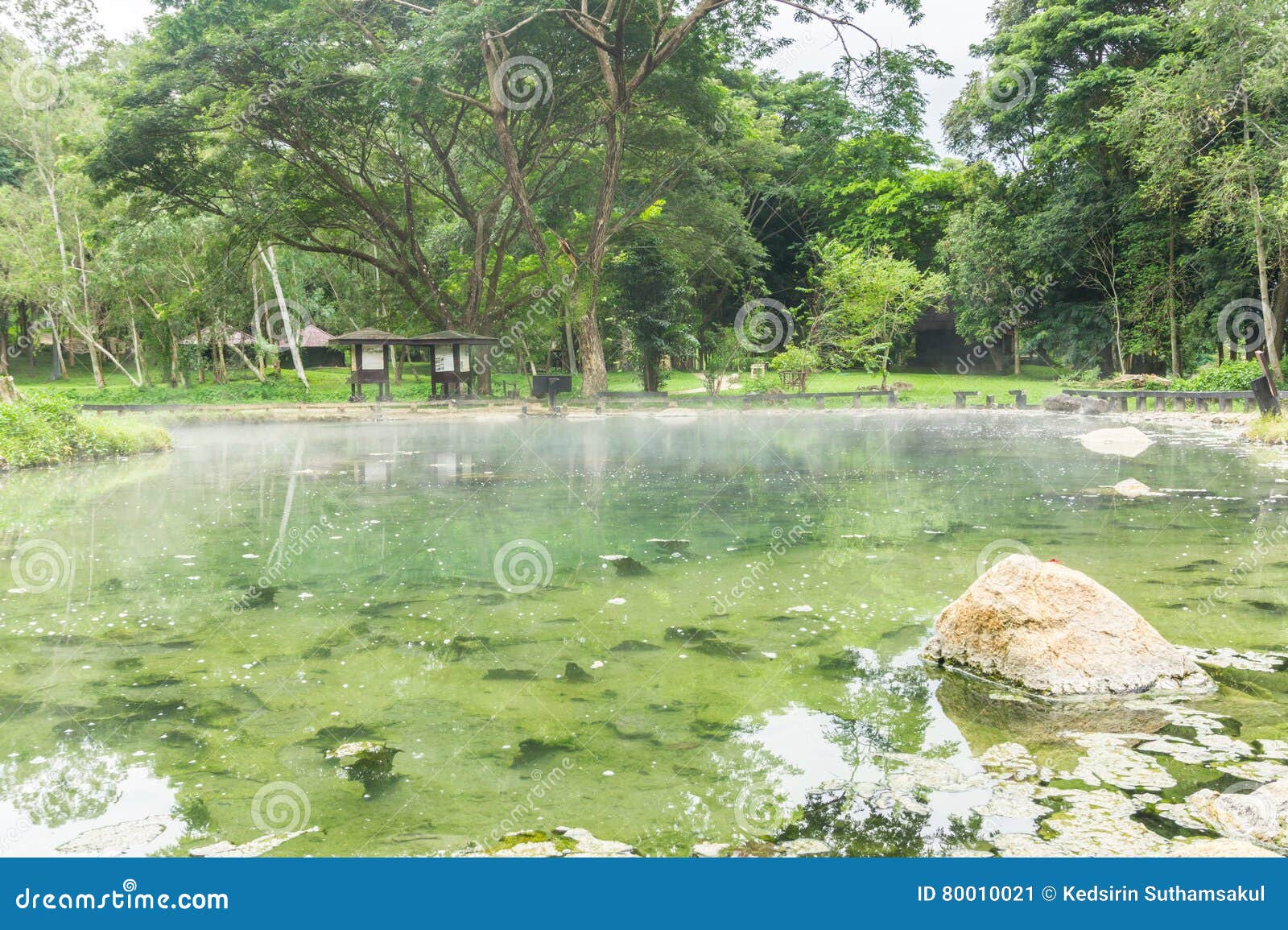 Peaceful Natural Hot Springs in a Forest Stock Image - Image of grass ...