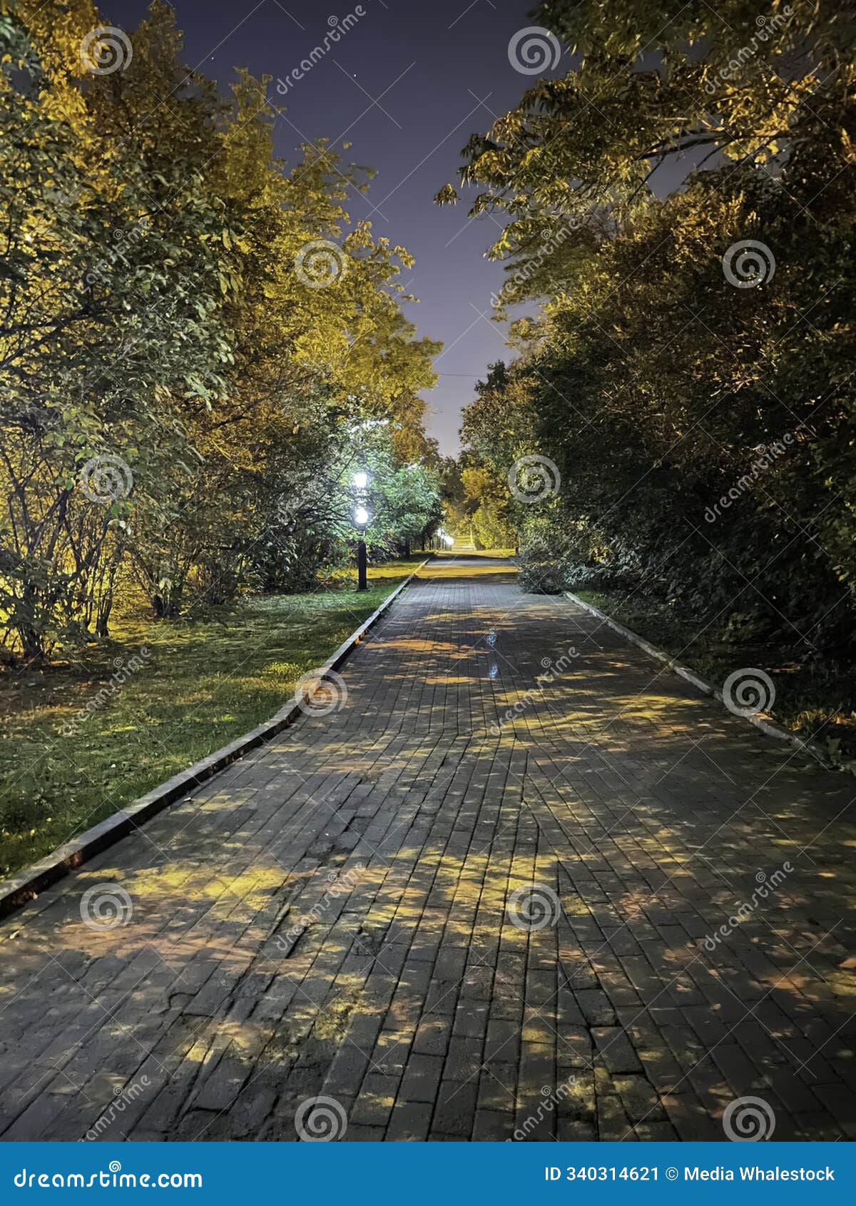 Nighttime Pathway Overlooking City Lights Stock Image | CartoonDealer ...