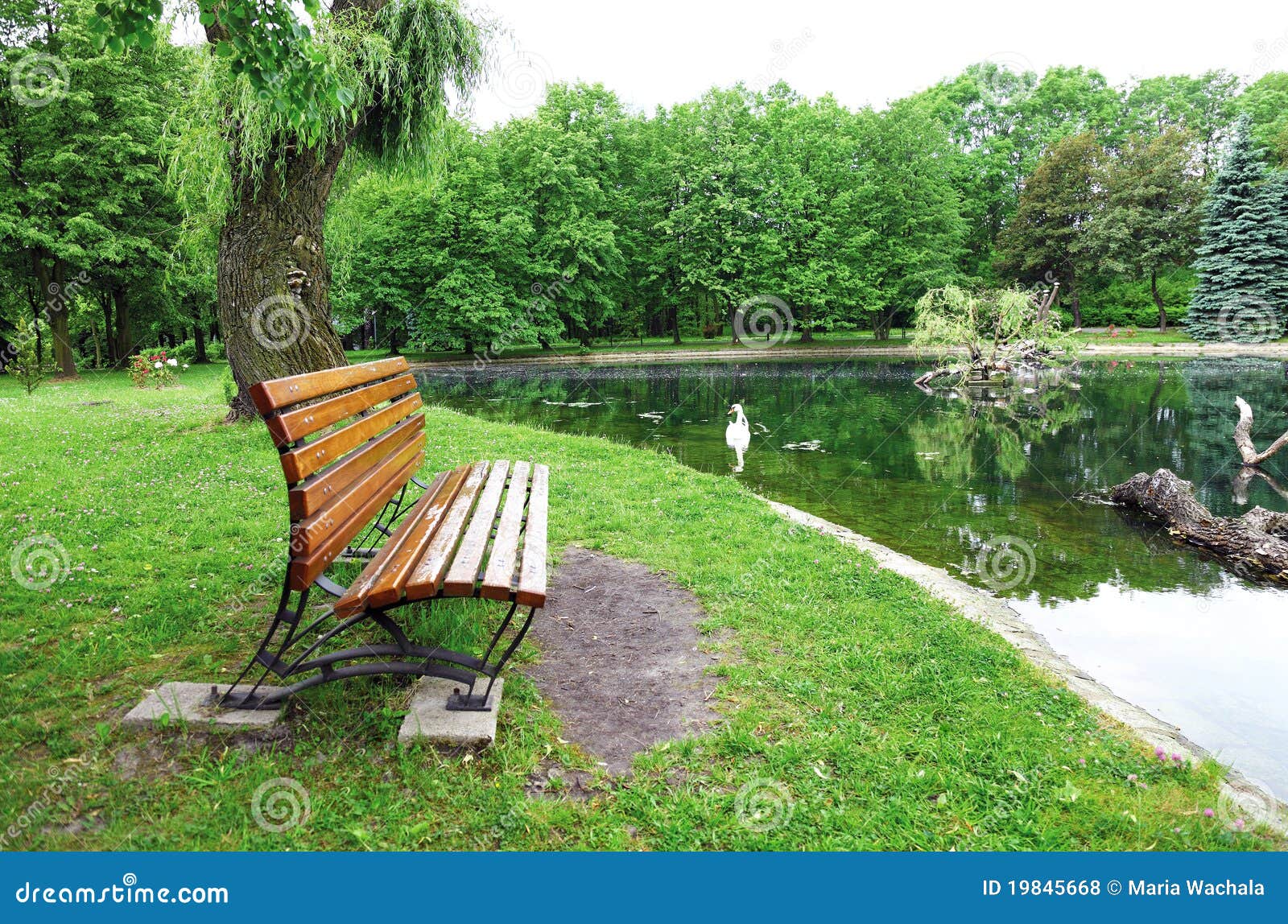 Peaceful park stock photo. Image of bench, outdoor, solitude - 19845668