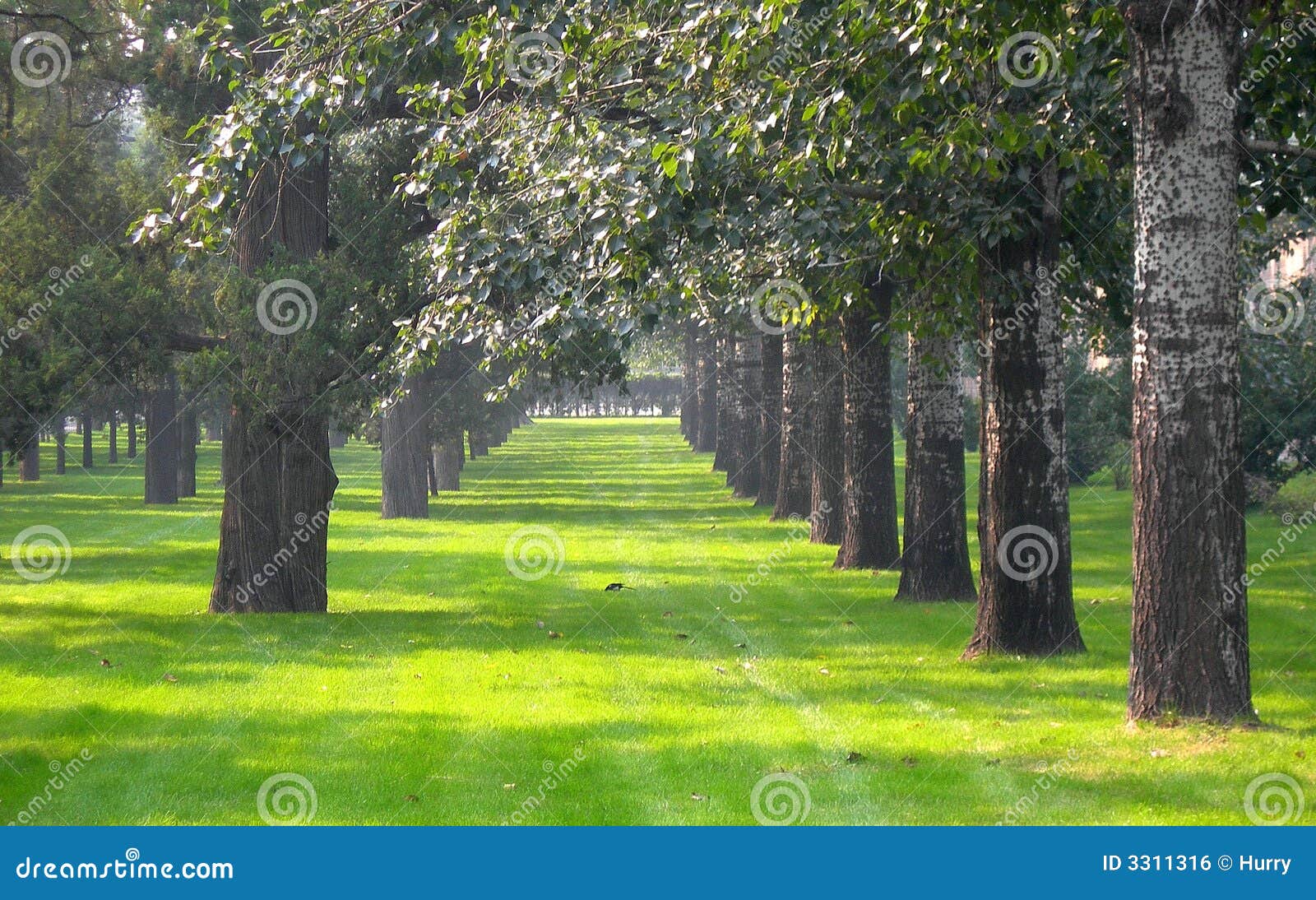 Peaceful park stock photo. Image of shadow, field, beijing - 3311316