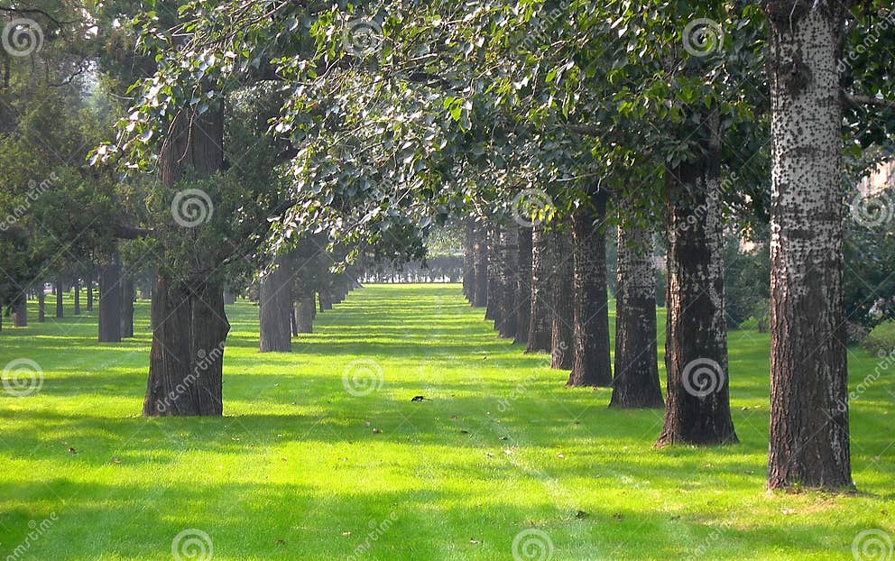 Peaceful park stock photo. Image of shadow, field, beijing - 3311316