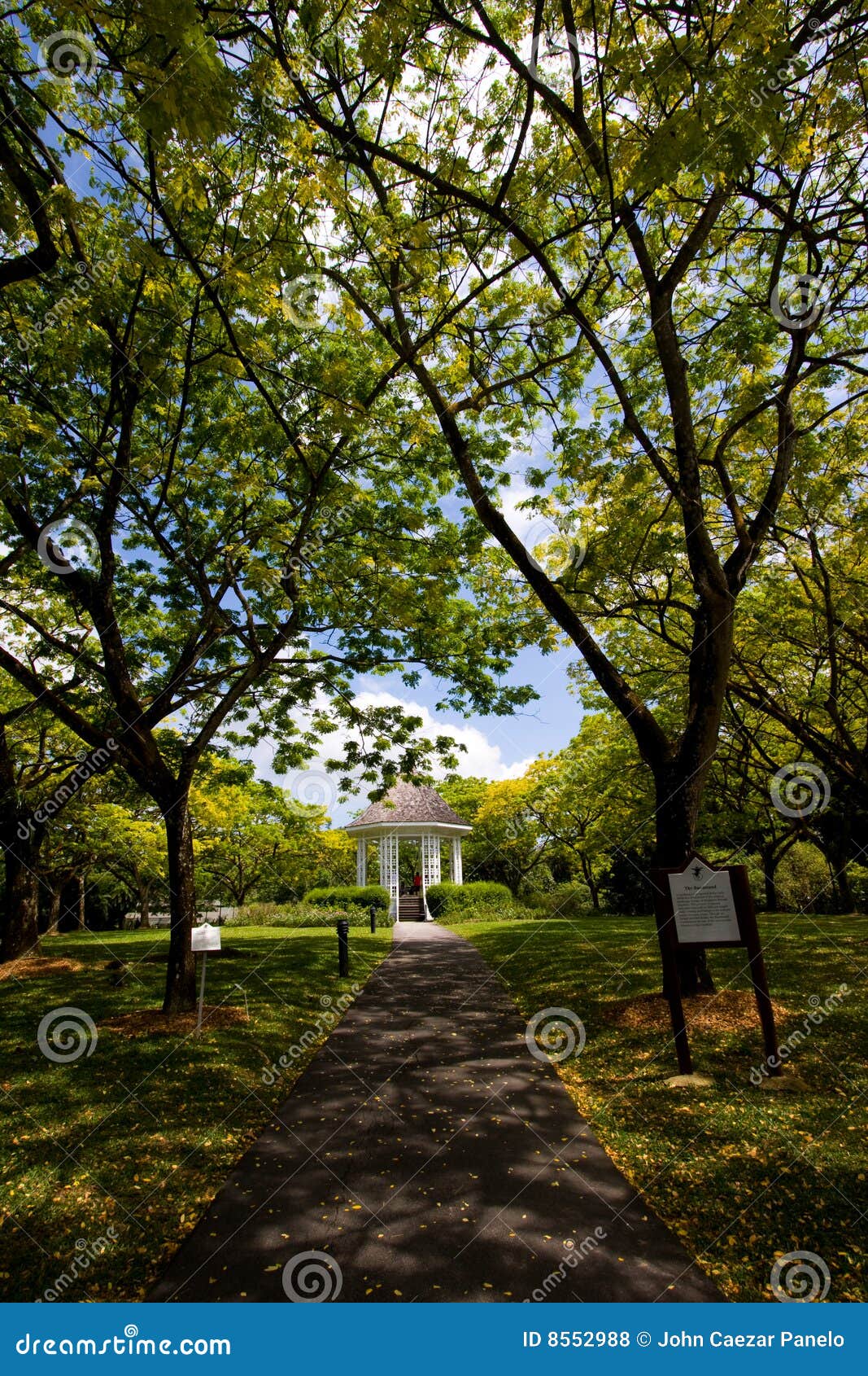 Peaceful Park stock photo. Image of trees, shadow, calm - 8552988