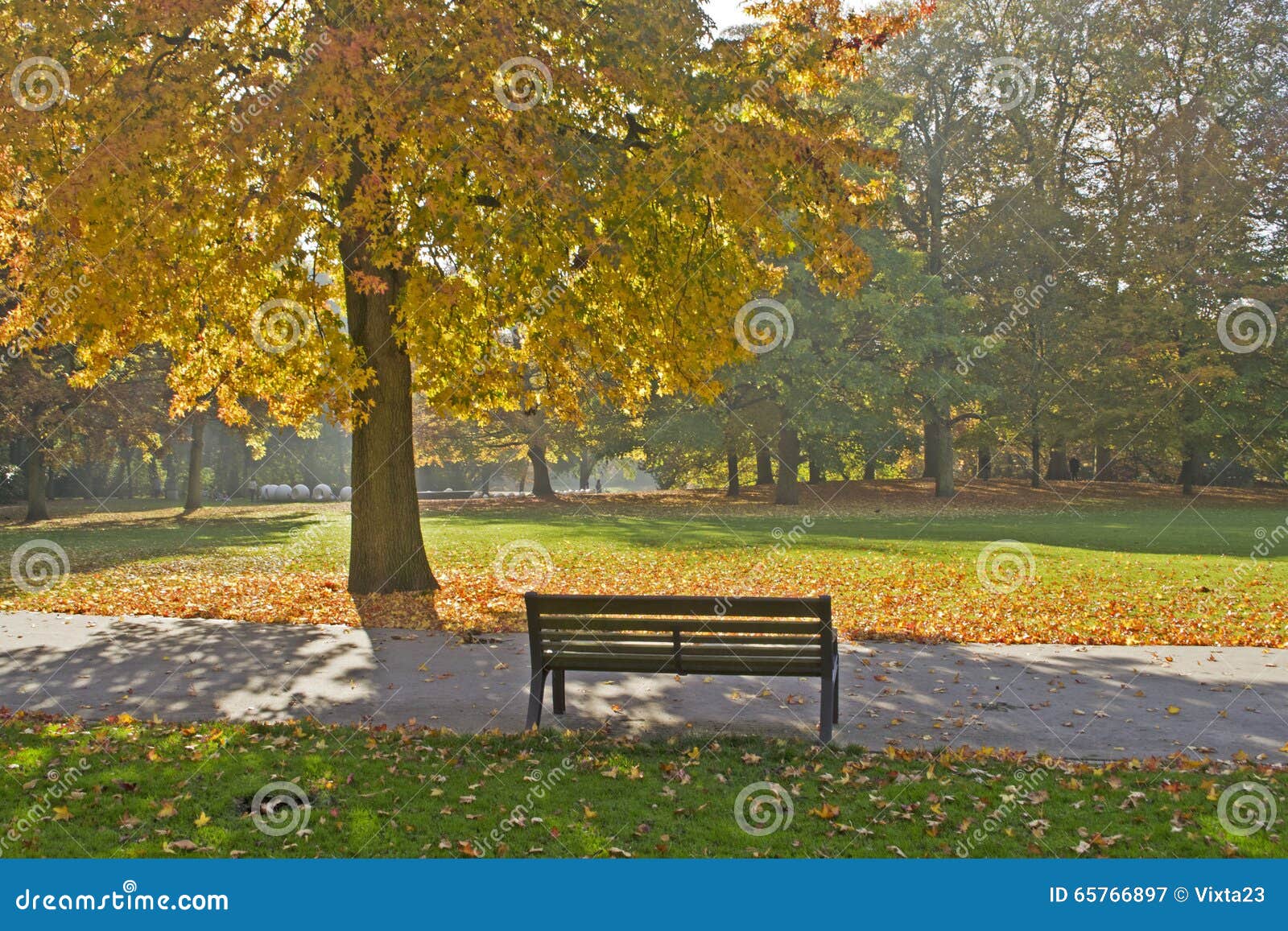 Peaceful Park stock image. Image of city, tree, bench - 65766897