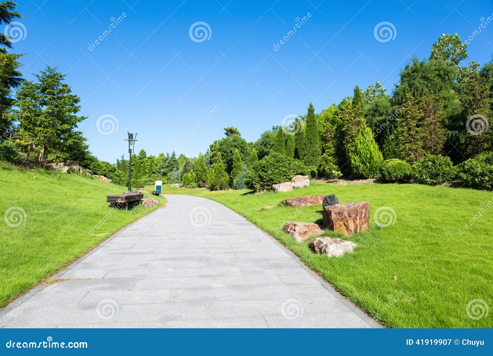 Peaceful Park In The Night With Street Lights, Trees, Green Grass And ...