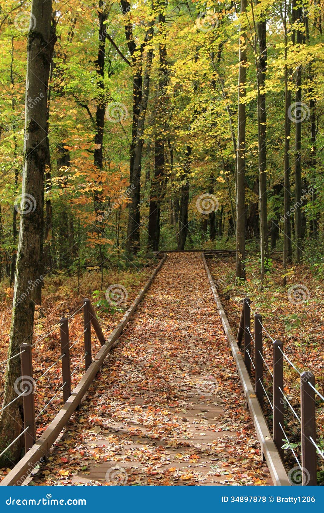 Peaceful path stock photo. Image of nature, foliage, fall - 34897878
