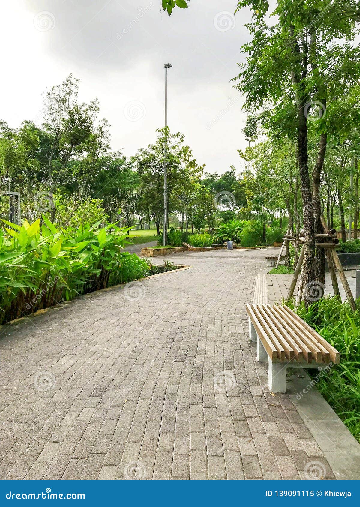 Walkway in the park stock image. Image of park, spring - 139091115