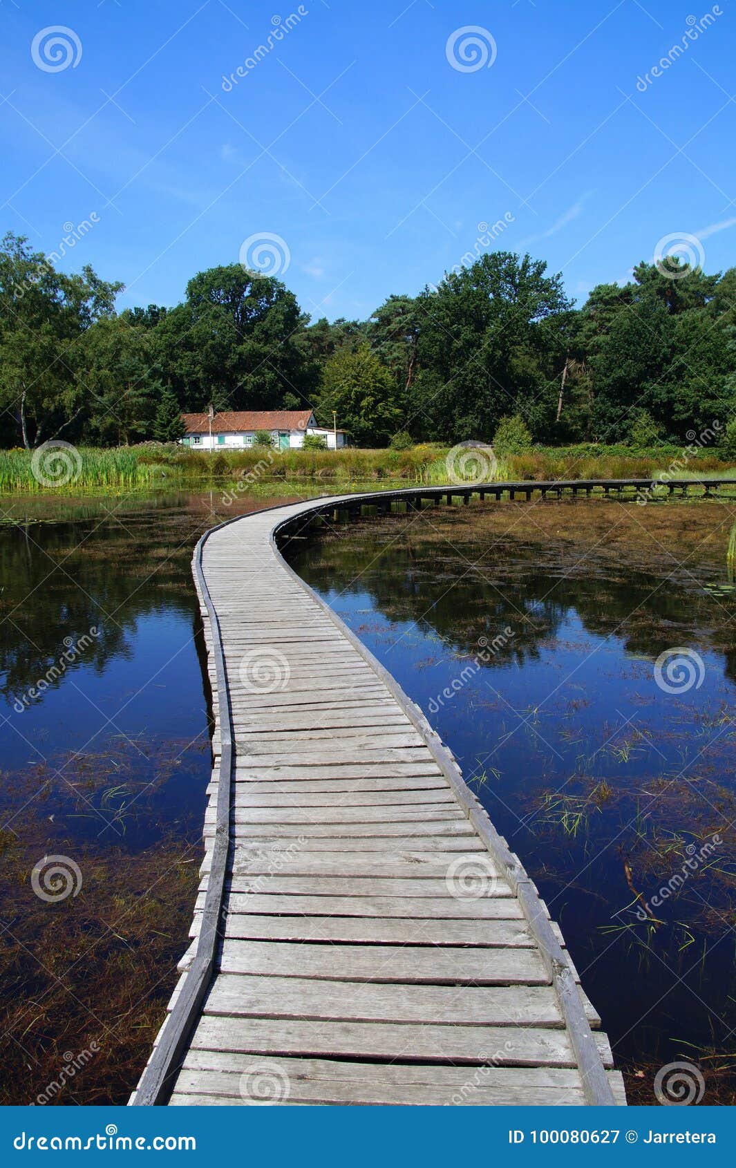 Peaceful Path - Mindfulness Stock Image - Image of pain, care: 100080627