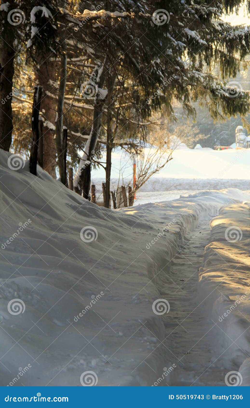 Peaceful Path through the Snow Stock Image - Image of serenity, winter ...