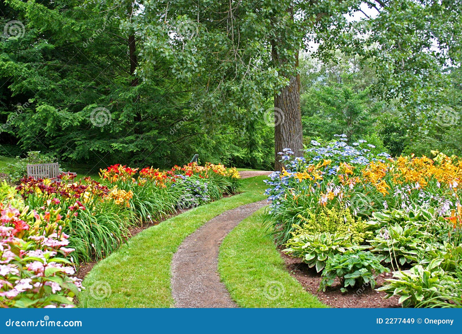 Peaceful Pathway stock image. Image of perennial, summer - 2277449