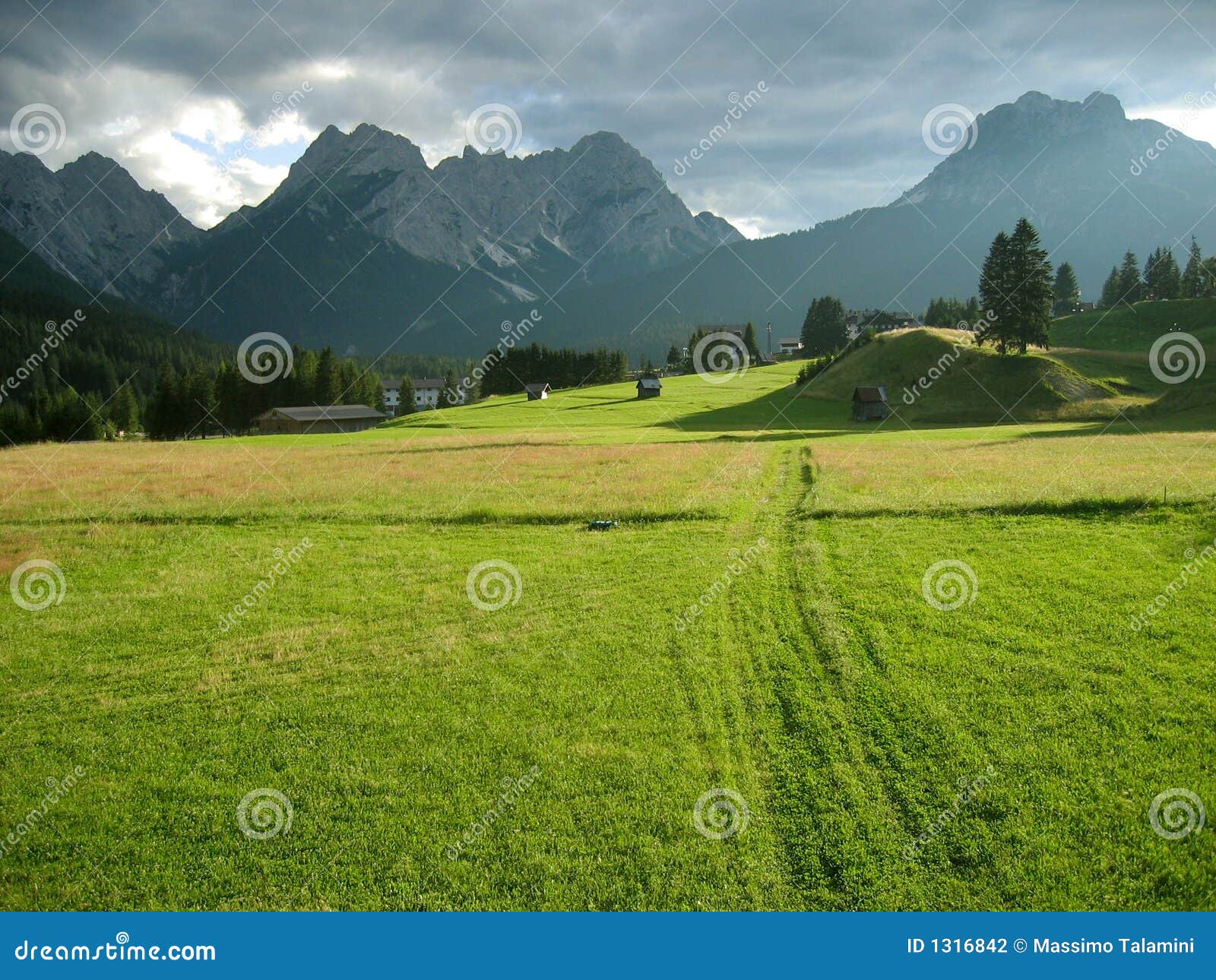 A peaceful place stock photo. Image of land, alps, grazing - 1316842