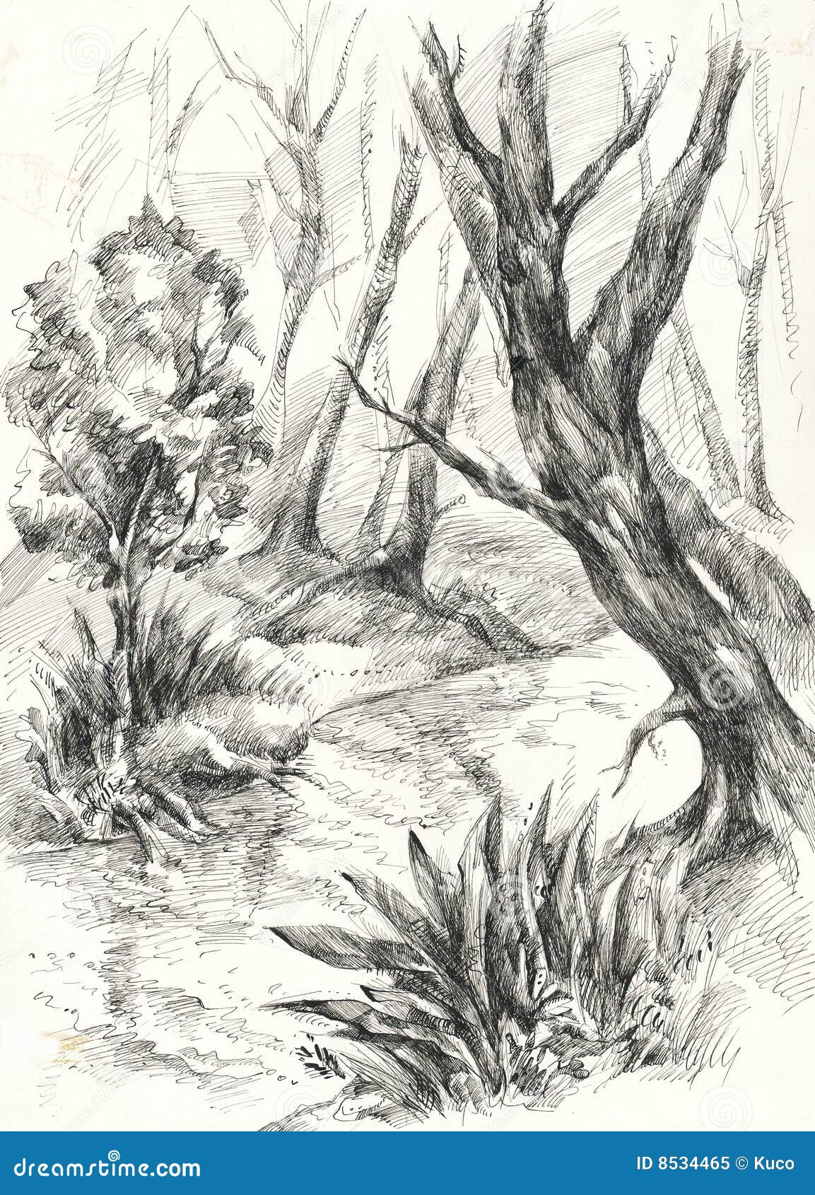 Peaceful place stock illustration. Illustration of river - 8534465