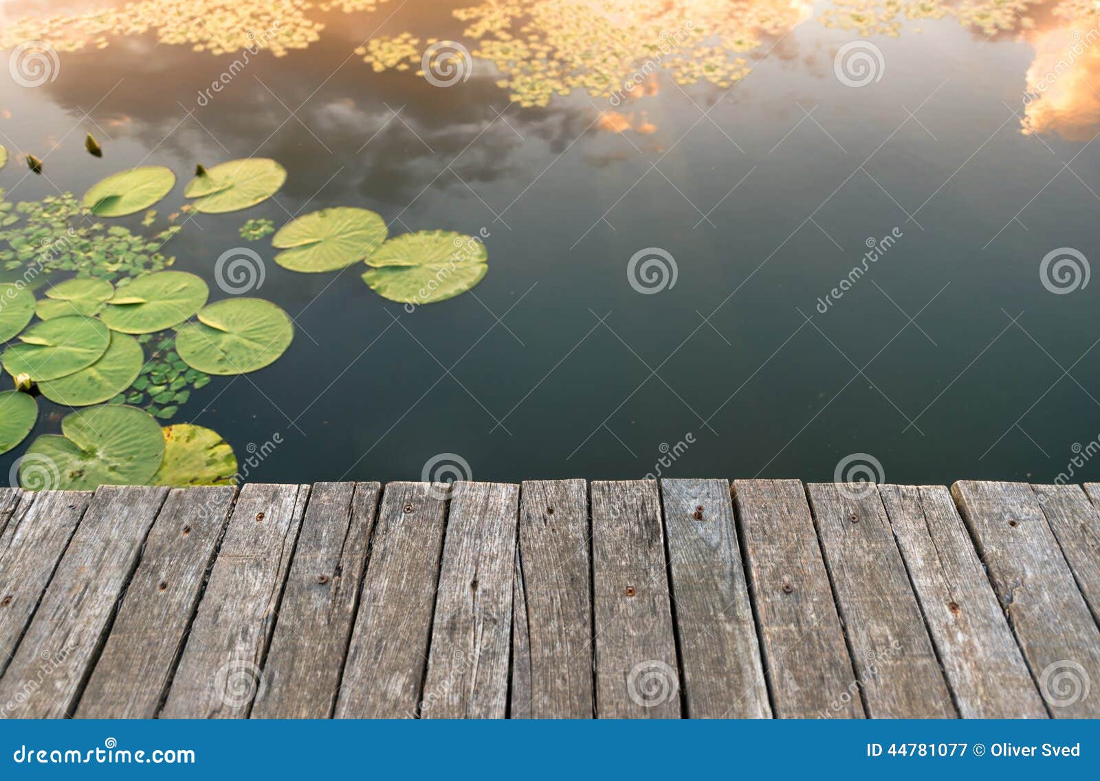 Peaceful place at the pond stock image. Image of shadow - 44781077