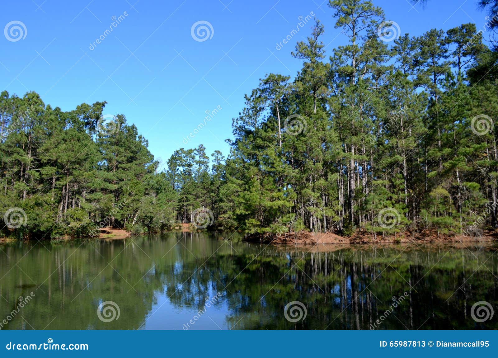 Peaceful Pond stock image. Image of large, contrast, adventure - 65987813