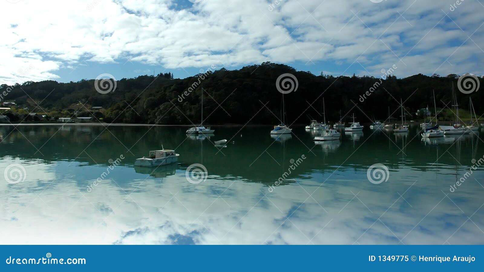 Peaceful reflection. stock image. Image of plant, landscape - 1349775