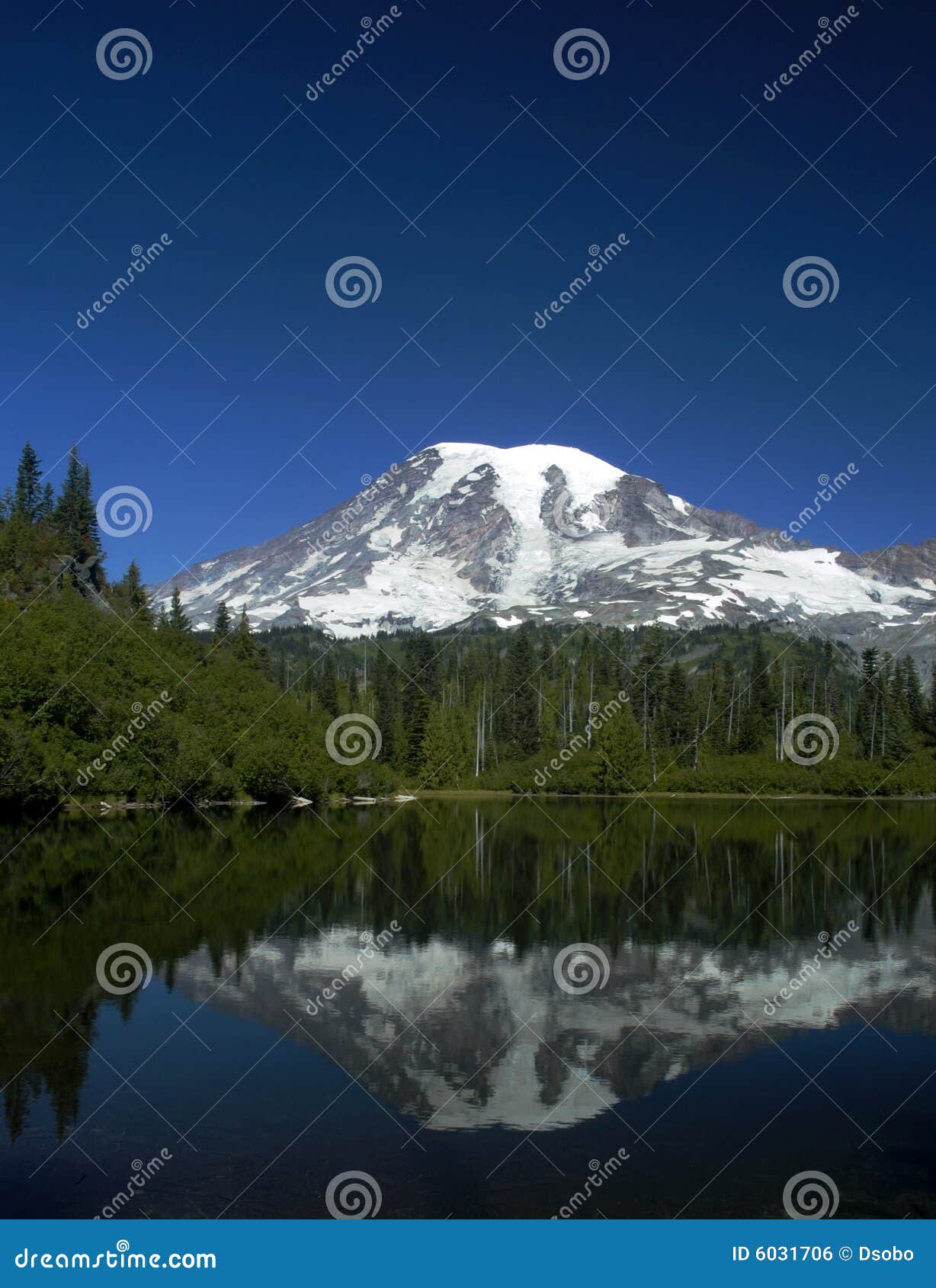 Peaceful Reflection stock photo. Image of rainier, scenery - 6031706