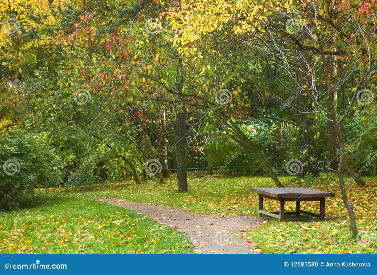 Peaceful resting place stock photo. Image of scenery - 12585580