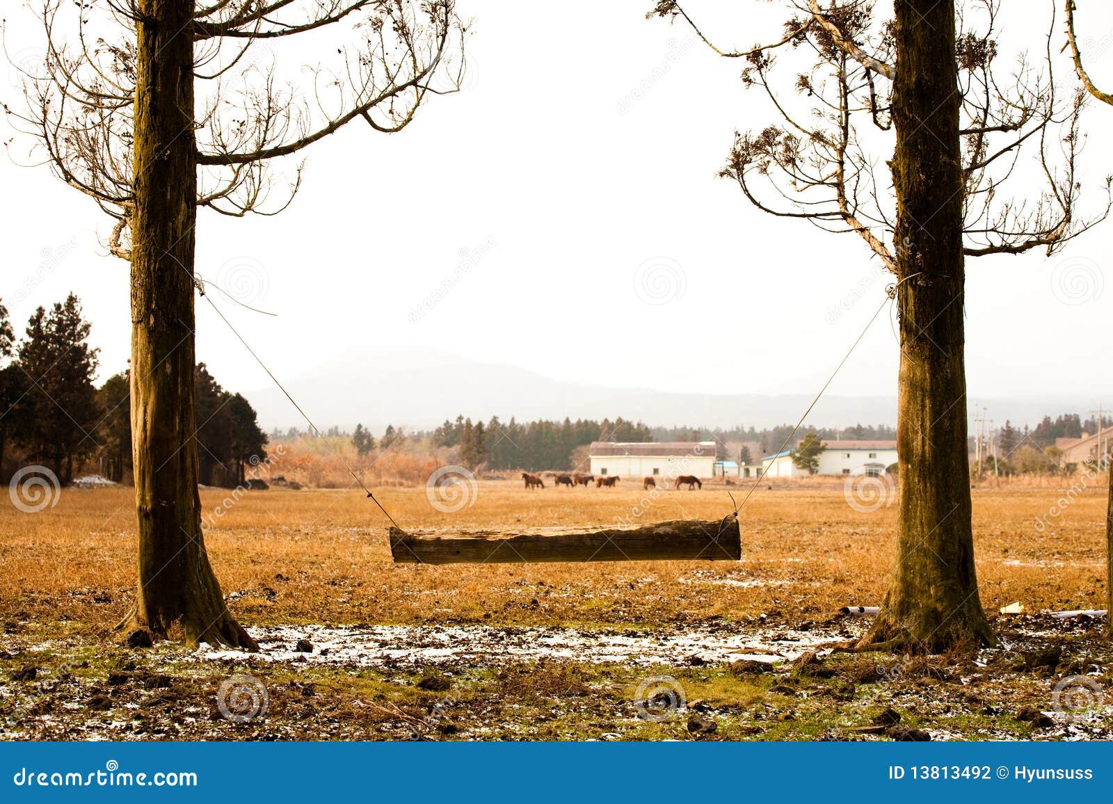 A peaceful resting place stock photo. Image of brown - 13813492