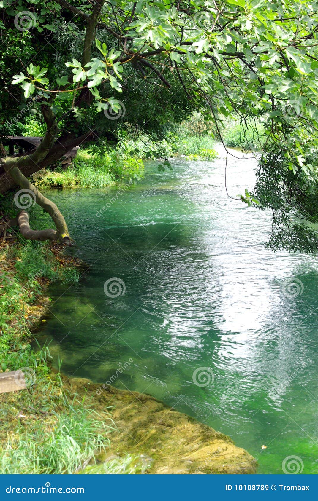 Peaceful river stock image. Image of ambience, clearing - 10108789